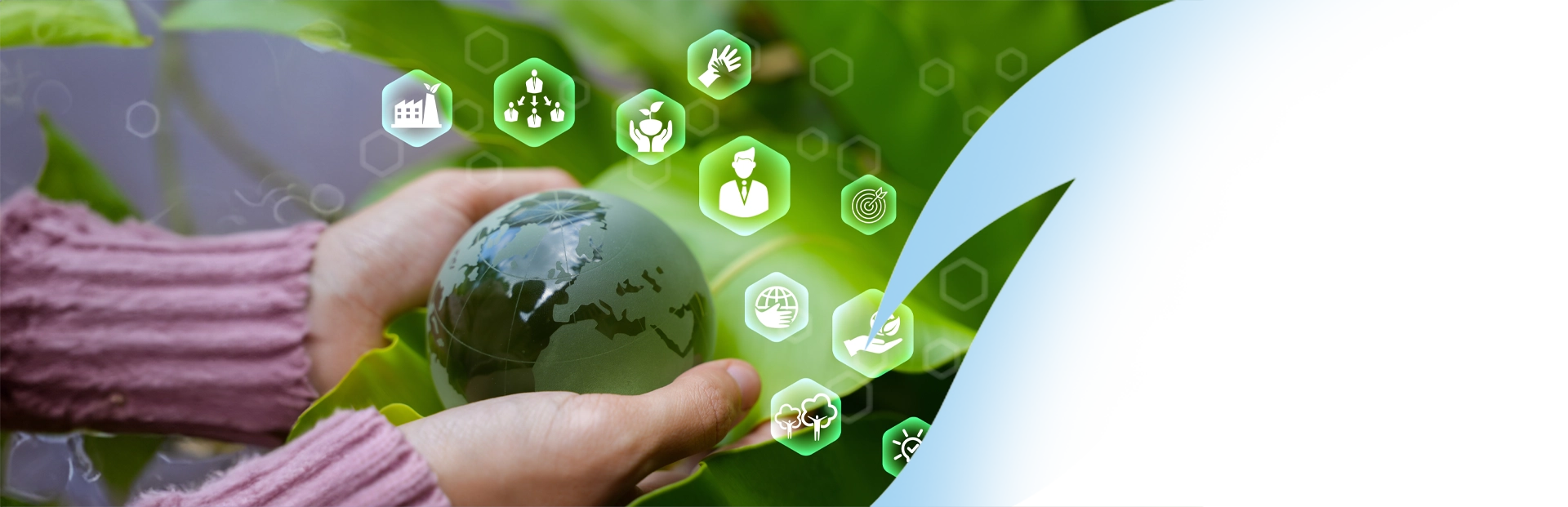 Política de Sustentabilidade - Instituto ITG